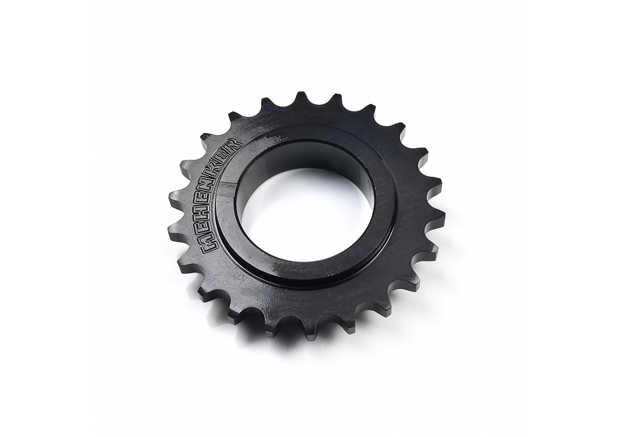 Überholung des Nockenwellenversteller Seat 2.0 ALT